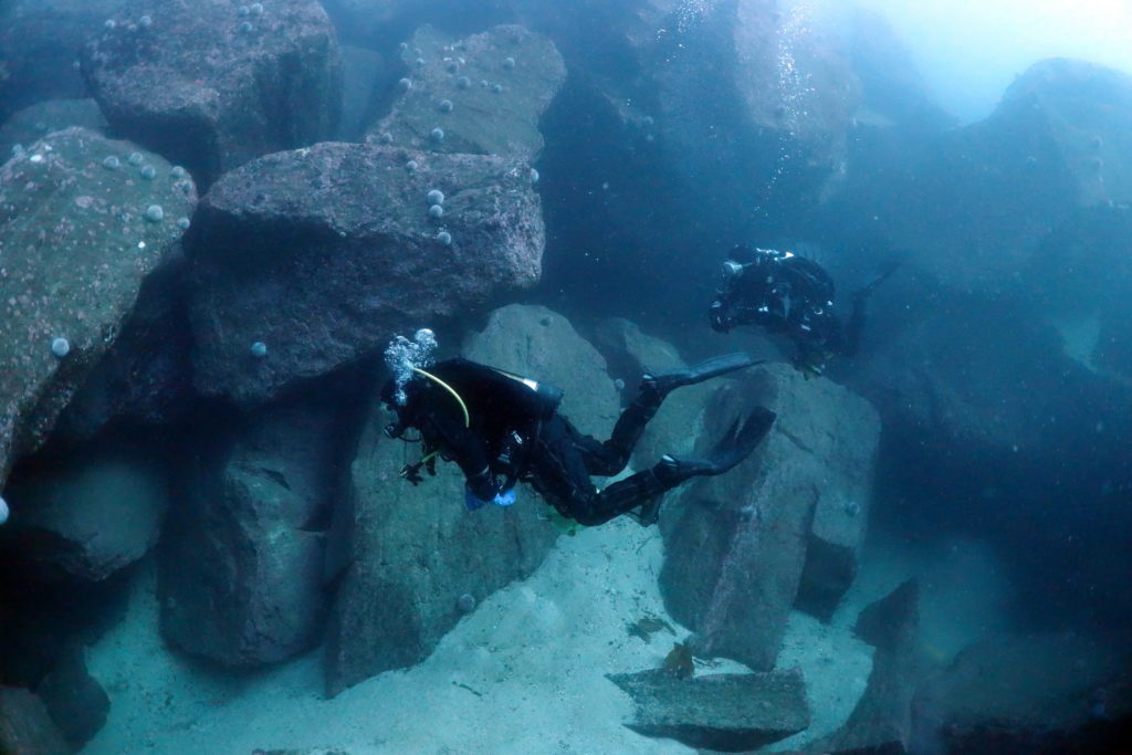 Diving - Åfjord